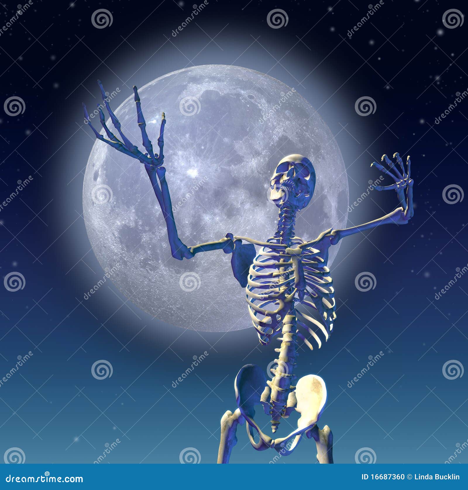 Skeletons On The Moon