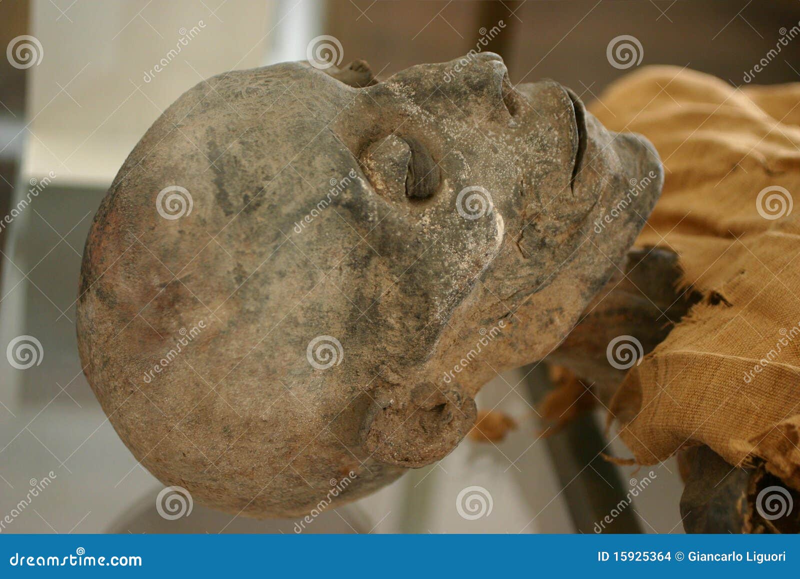 Skeleton mummy stock photo. Image of graveyard, mummified - 15925364