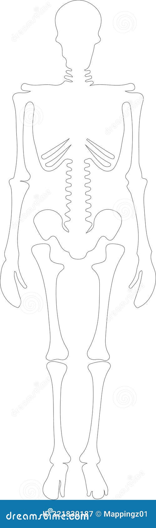 Skeleton Outline Silhouette Generative Ai Stock Vector - Illustration ...