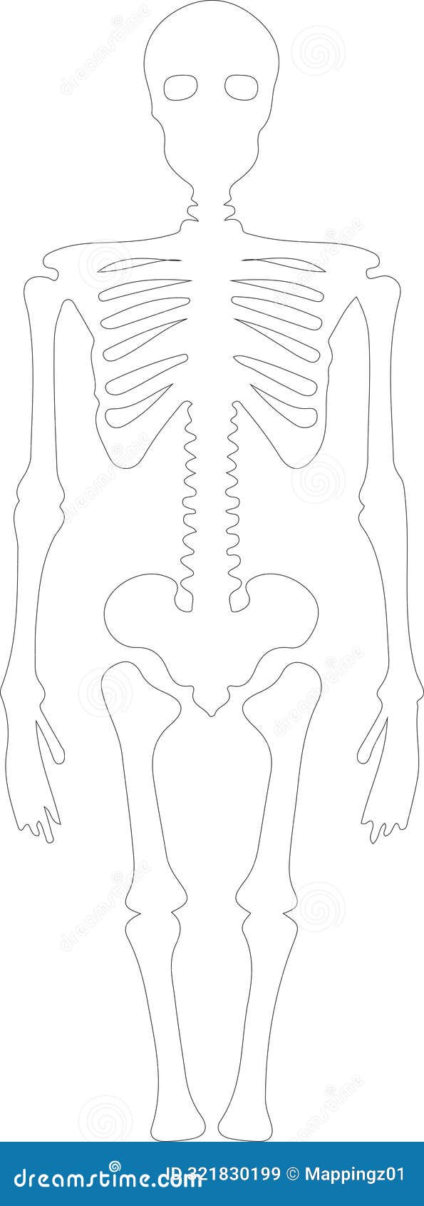 Skeleton Outline Silhouette Generative Ai Stock Vector - Illustration ...