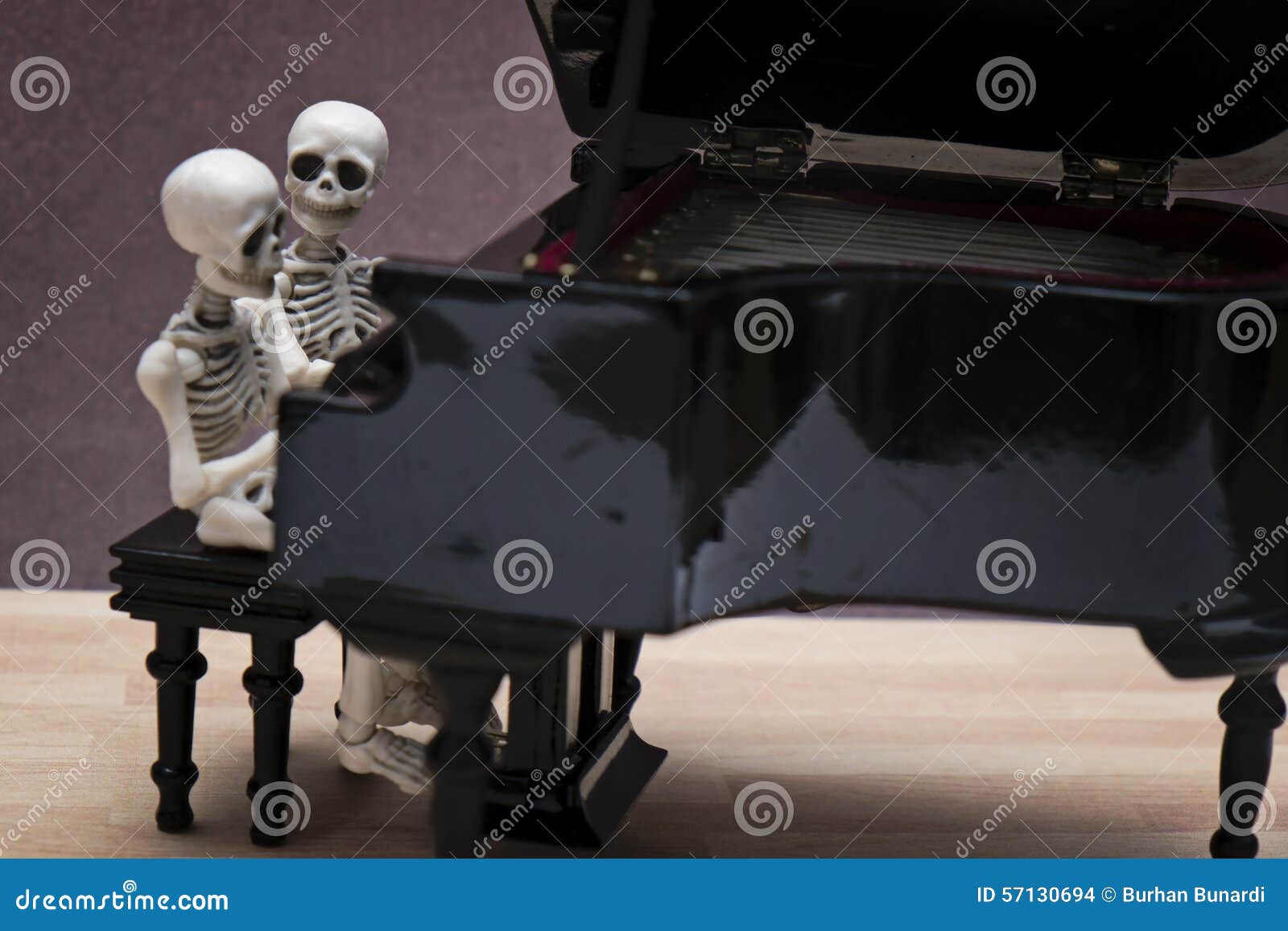 Skeleton piano session stock photo. Image of musical - 57130694