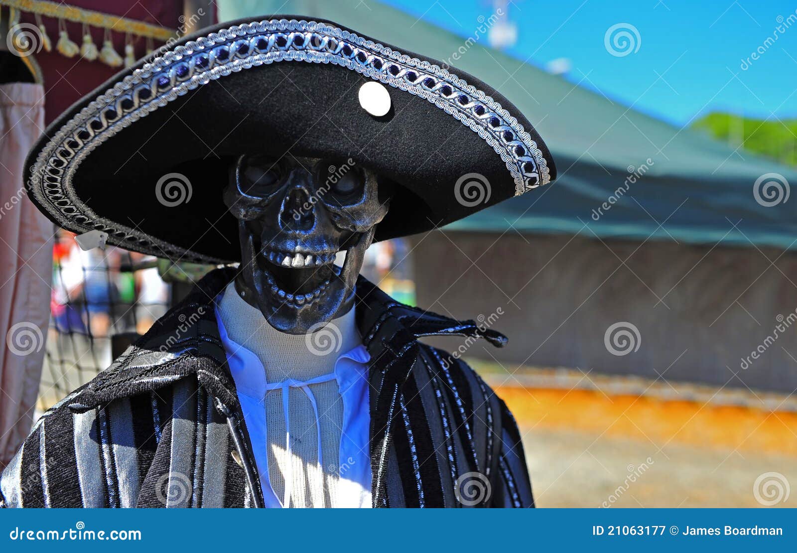 Skeleton Pirate stock image. Image of ready, military - 21063177