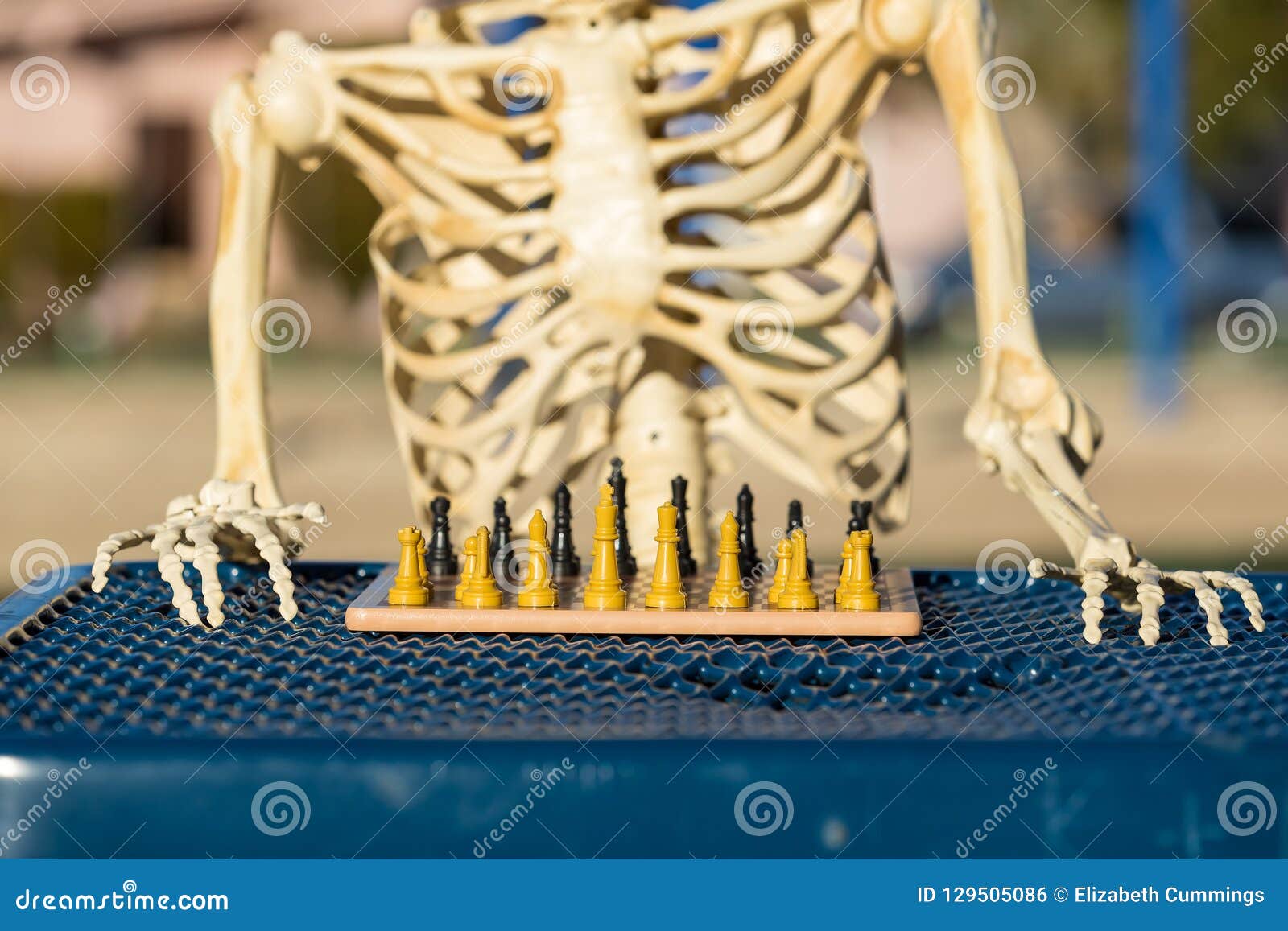 Skeleton playing chess stock photo. Image of bench, play - 129505086
