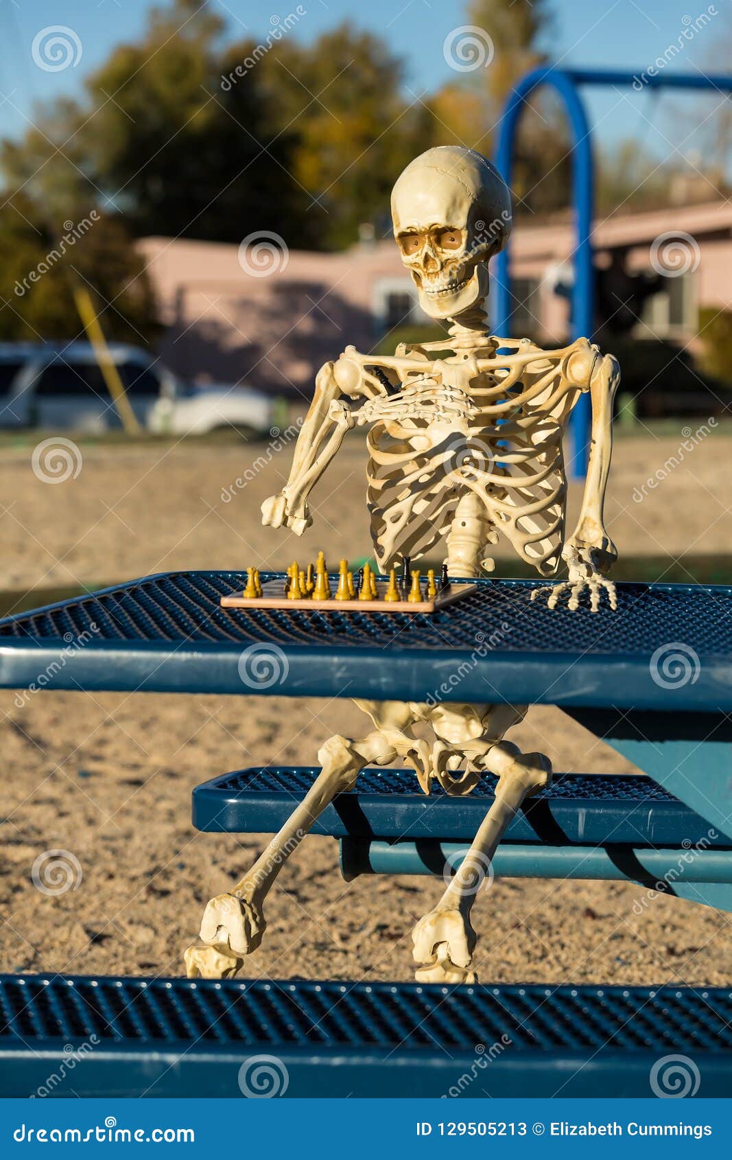Skeleton Playing Chess on a Picnic Bench Stock Image - Image of ...