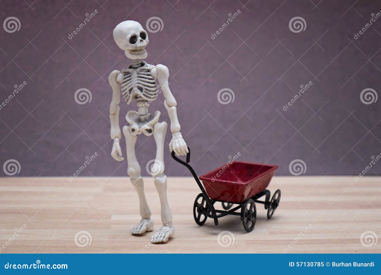 Skeleton stock image. Image of vintage, spooky, retro - 57130785