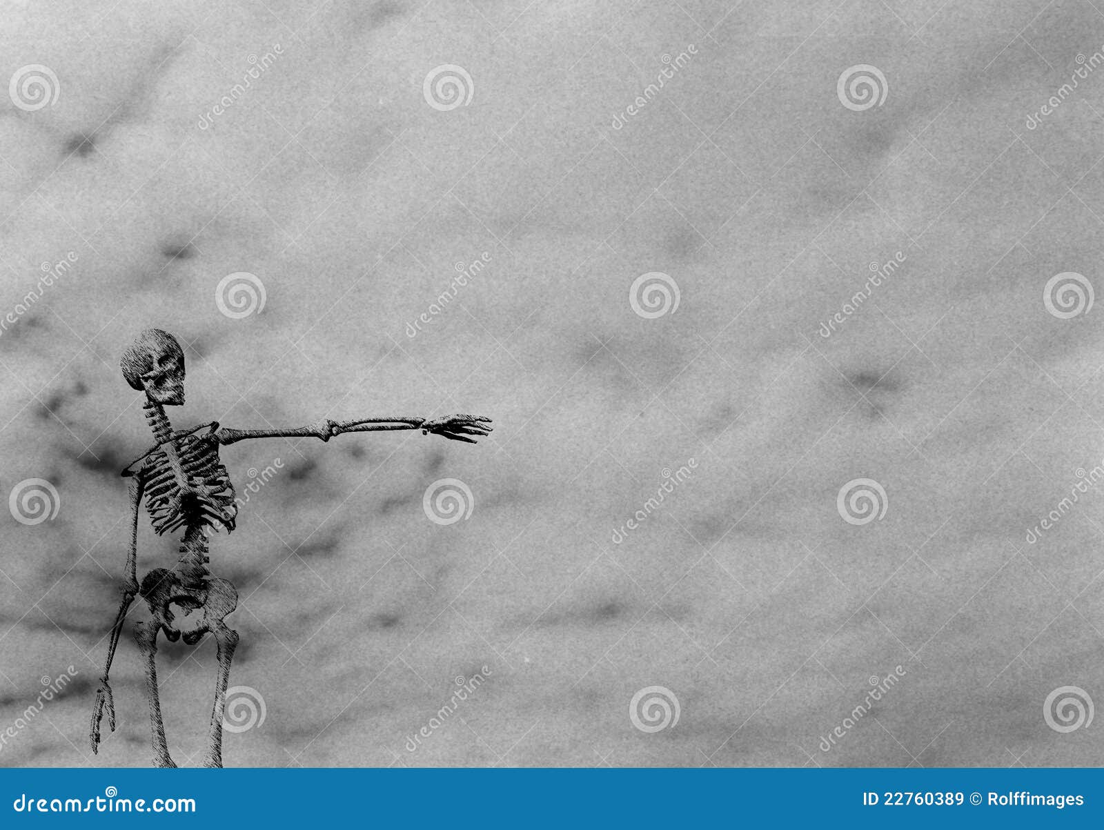 Skeleton pointing stock illustration. Illustration of element - 22760389