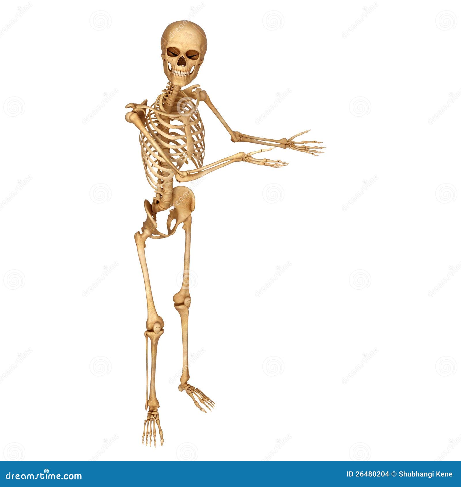 Skeleton Pointing Towards Blank Stock Illustration - Illustration of ...