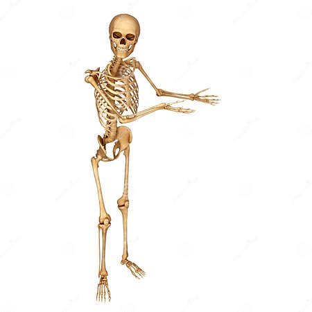 Skeleton Pointing Towards Blank Stock Illustration - Illustration of ...