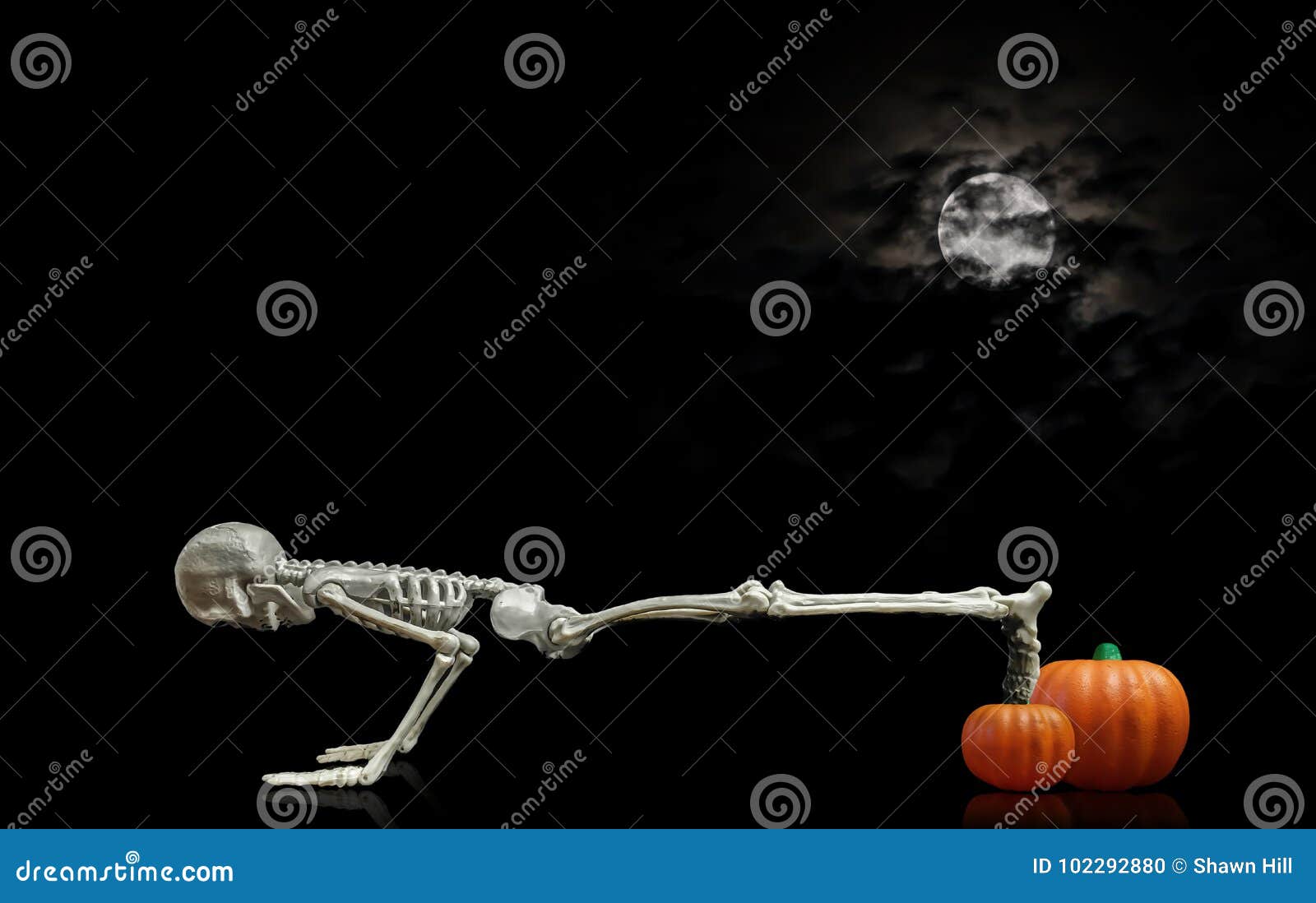 Skeleton Push Ups stock photo. Image of halloween, dark - 102292880