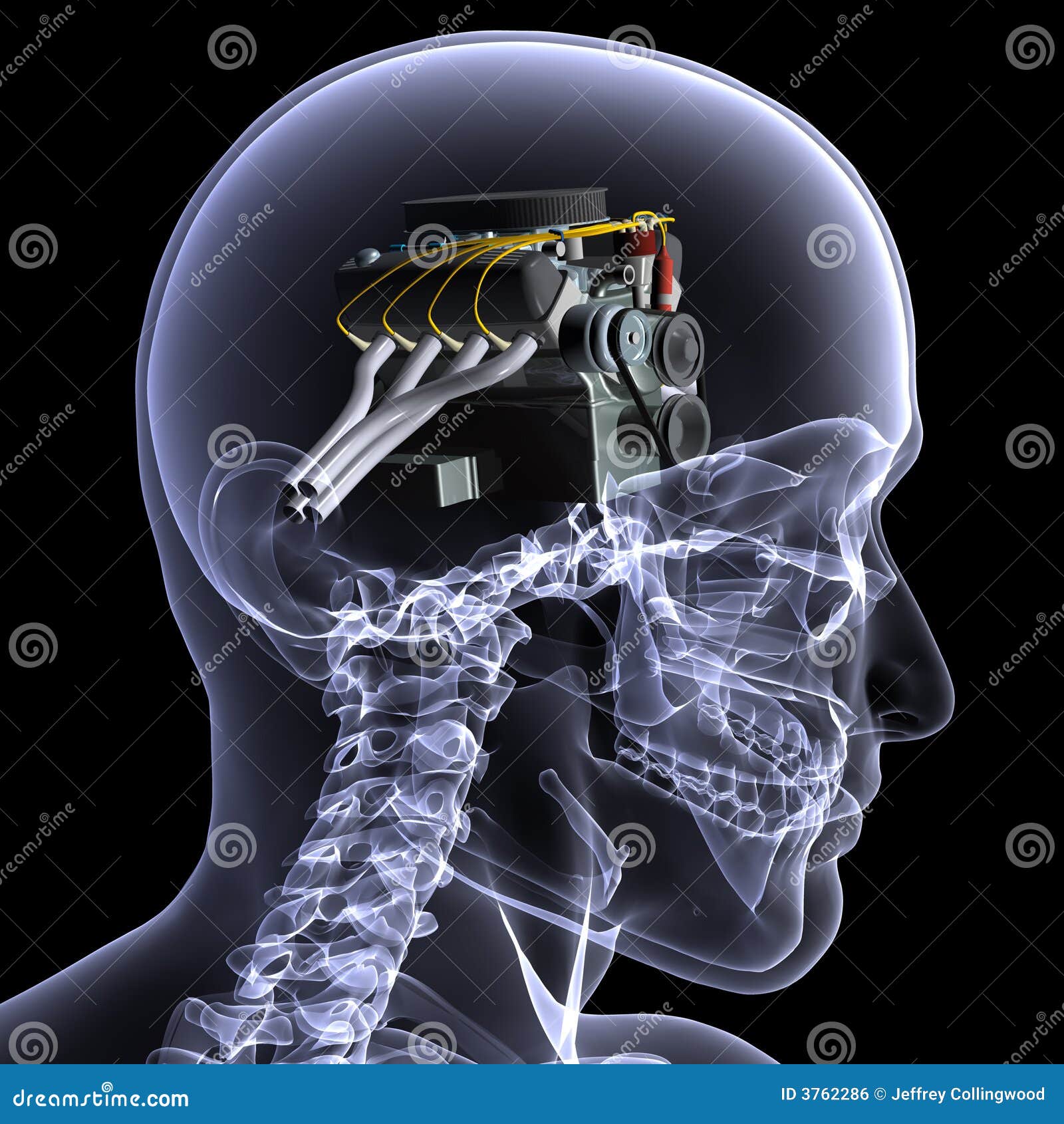 Skeleton X-Ray - Motorhead 1 Stock Illustration - Illustration of front ...