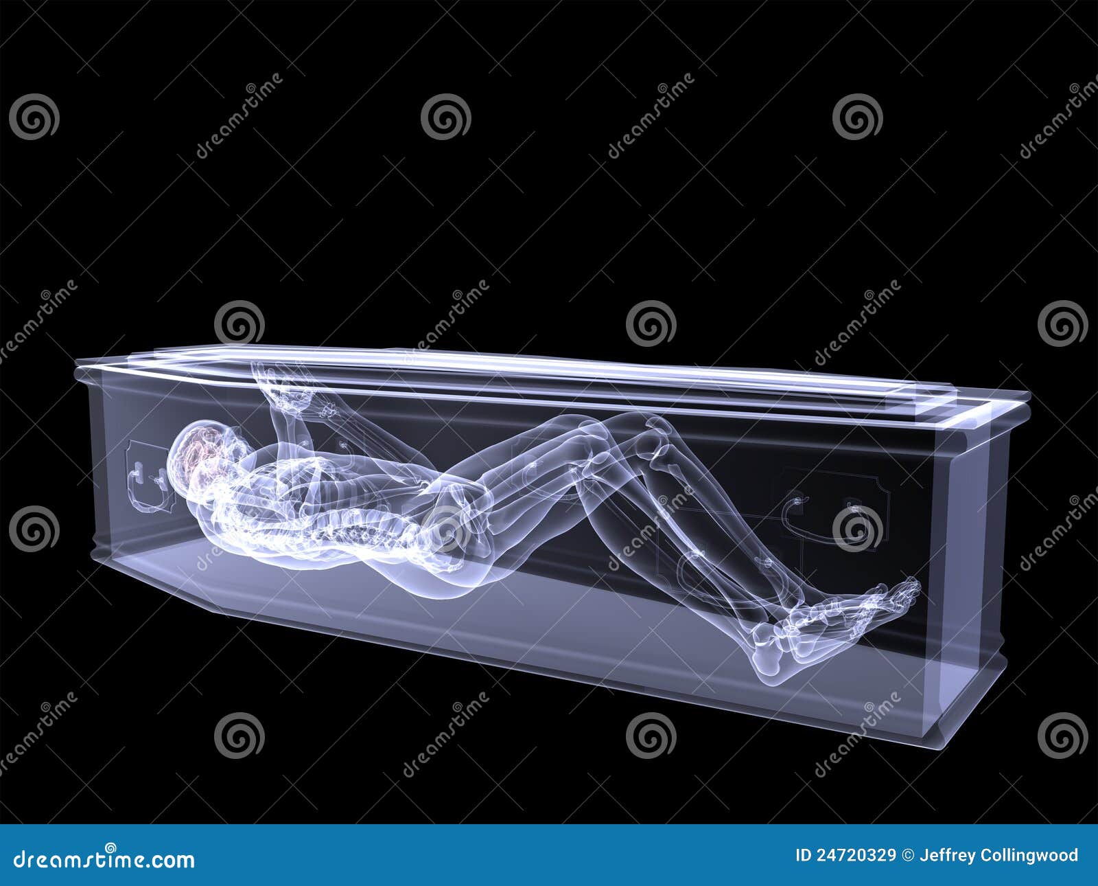 Skeleton X-Ray - Trapped in a Coffin Stock Illustration - Illustration ...