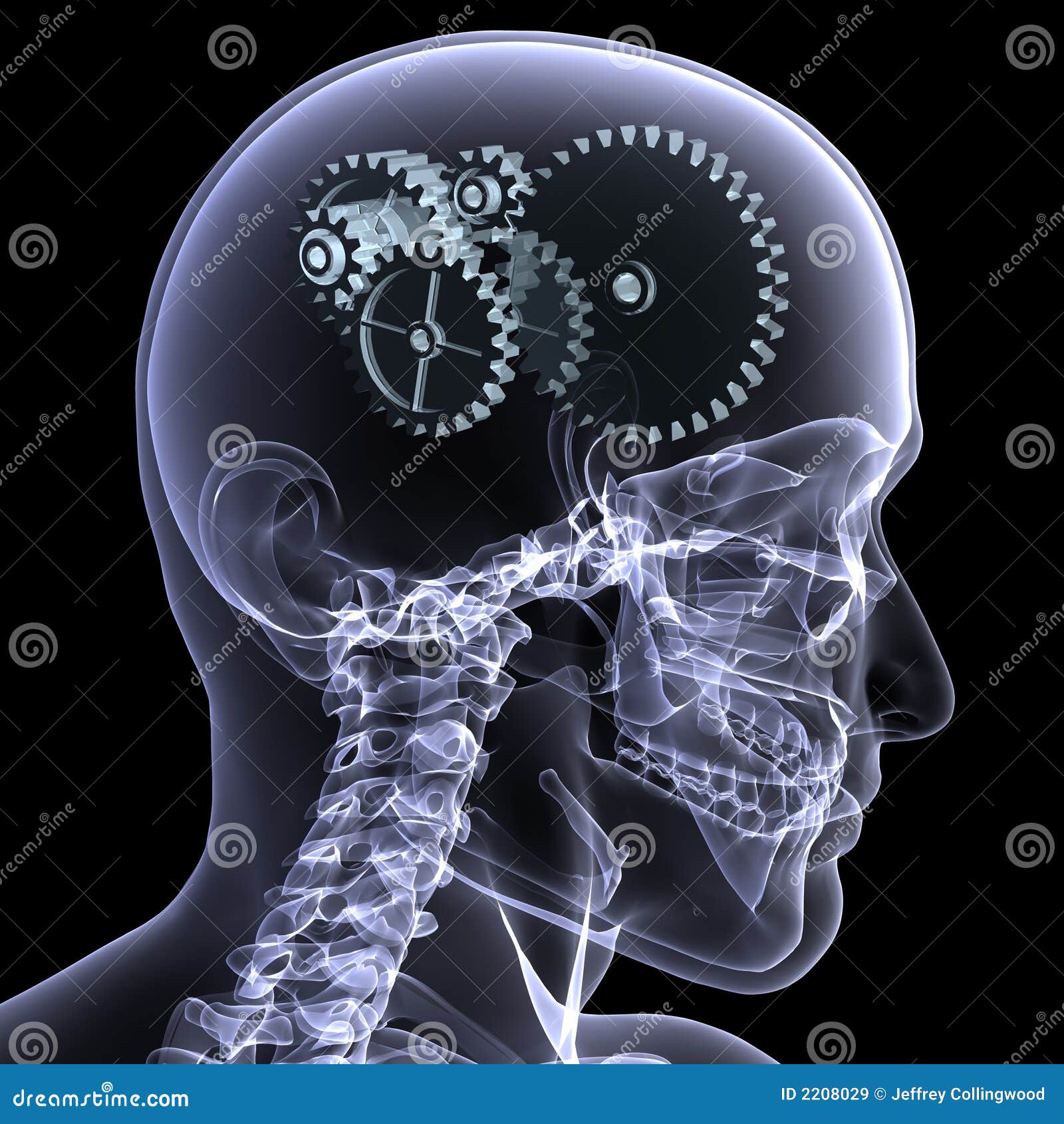 Skeleton X-Ray - Wheels a Turn Stock Illustration - Illustration of ...