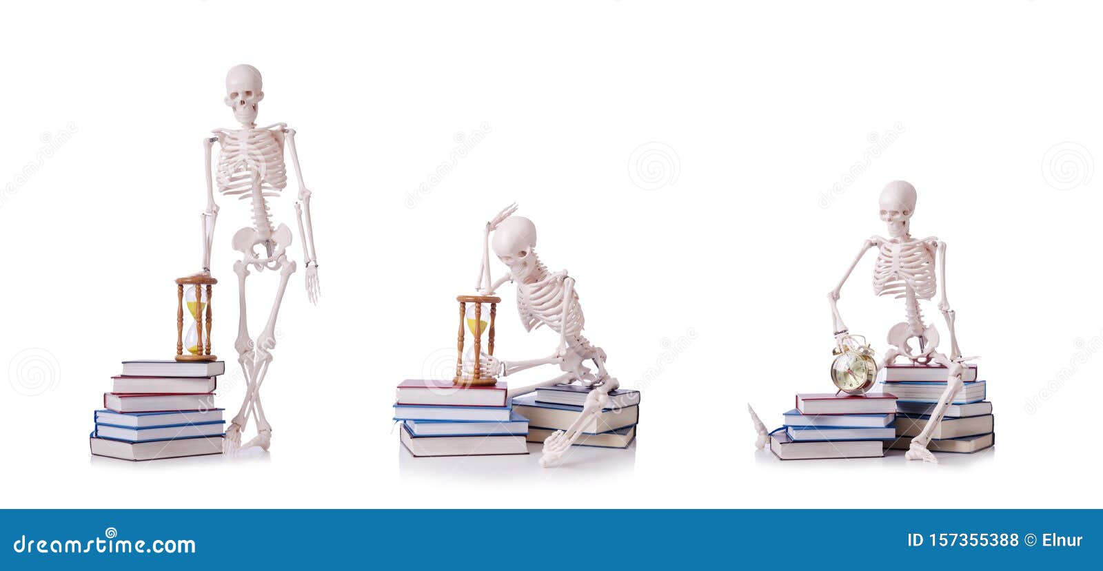 Skeleton Reading Books on White Stock Photo - Image of halloween, books ...