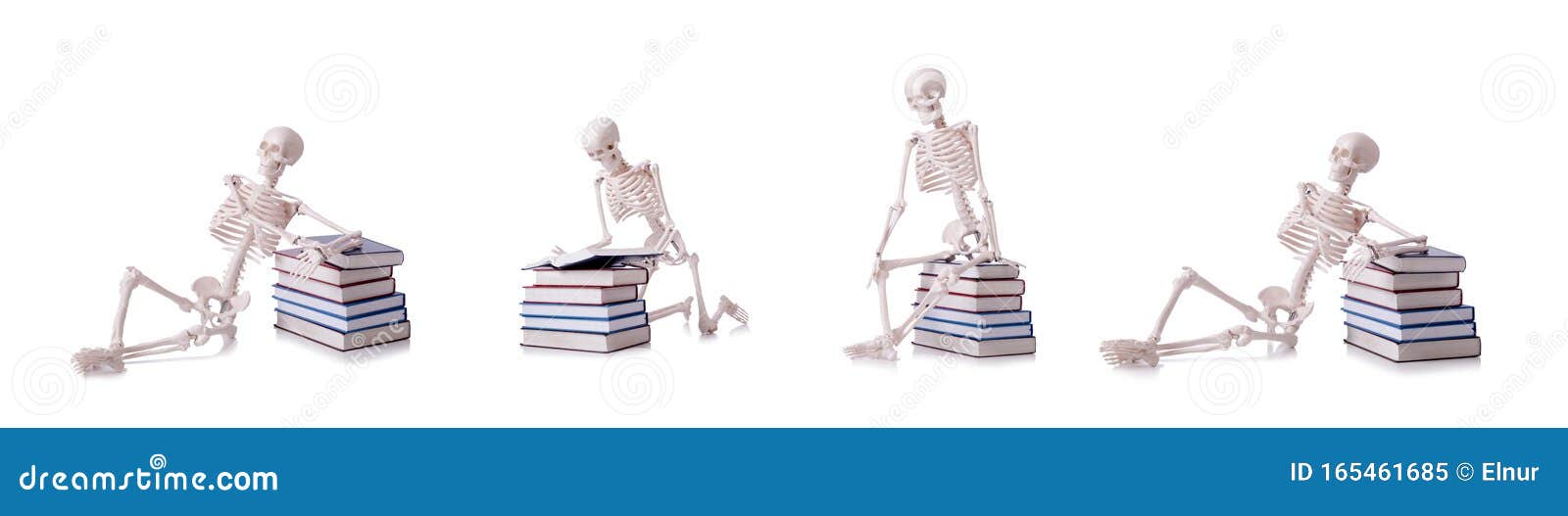 Skeleton Reading Books on White Stock Image - Image of backbone ...
