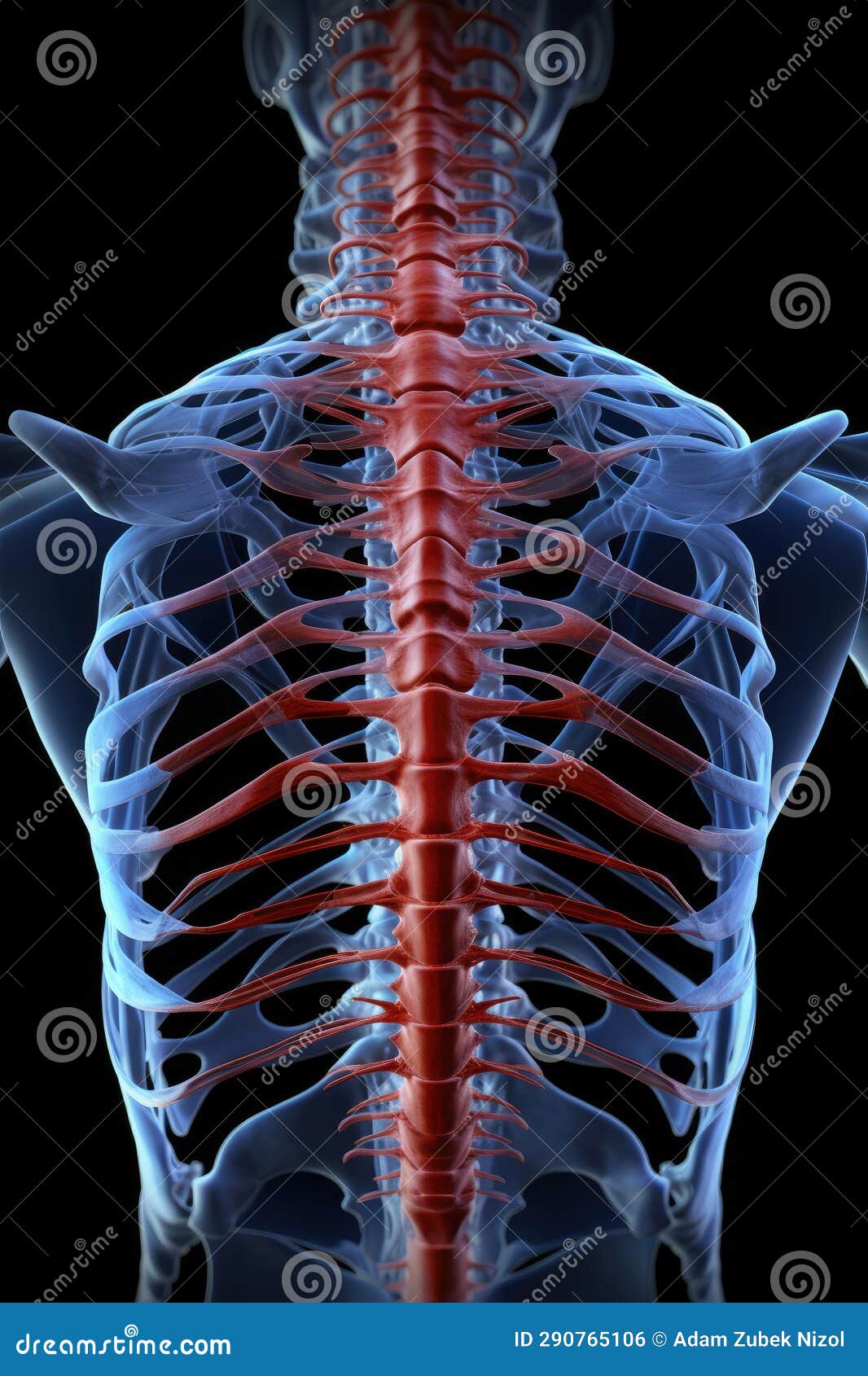 A skeleton with red veins stock illustration. Illustration of ...
