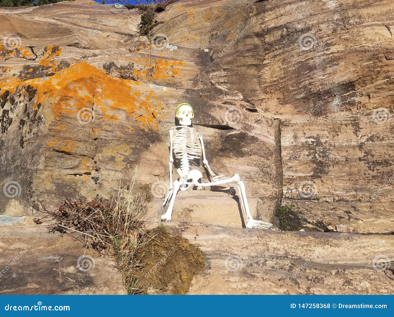 Skeleton on a rock wall stock photo. Image of nature - 147258368