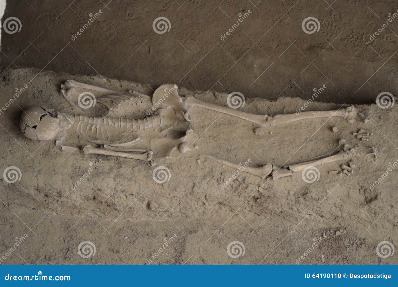 The skeleton of a Roman stock photo. Image of cemetery - 64190110
