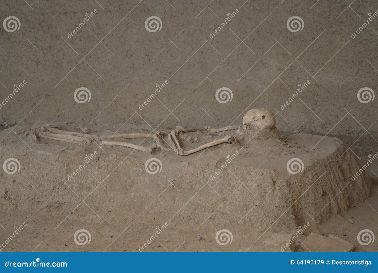 The skeleton of a Roman stock image. Image of human, bone - 64190179