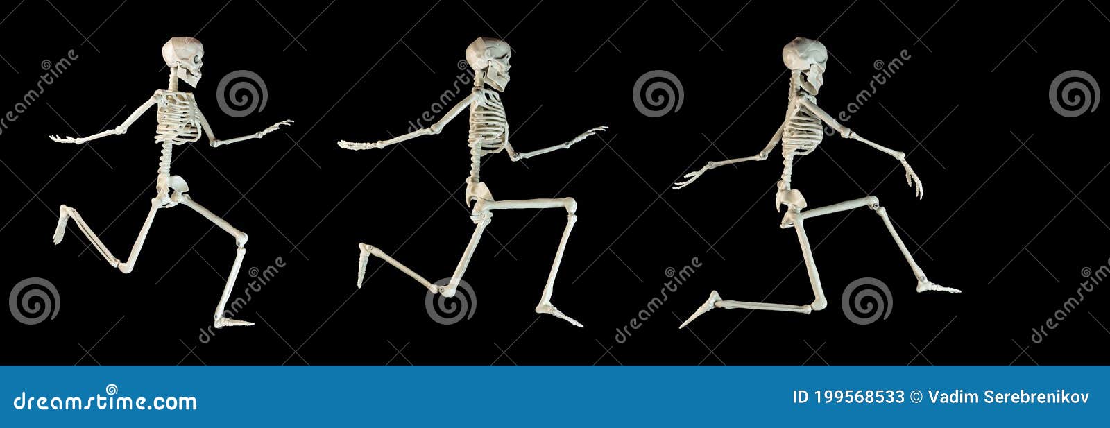 A skeleton is running away stock image. Image of horror - 199568533