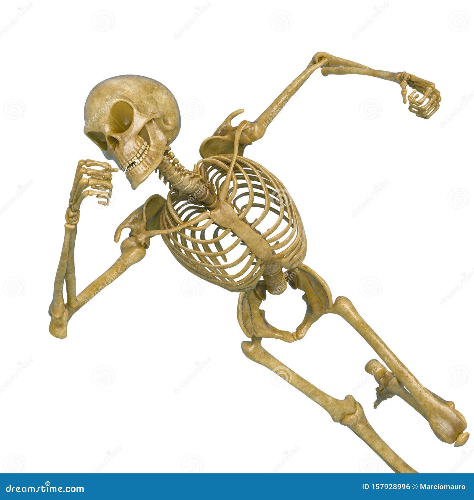 Skeleton is Running so Fast in a White Background Stock Illustration ...