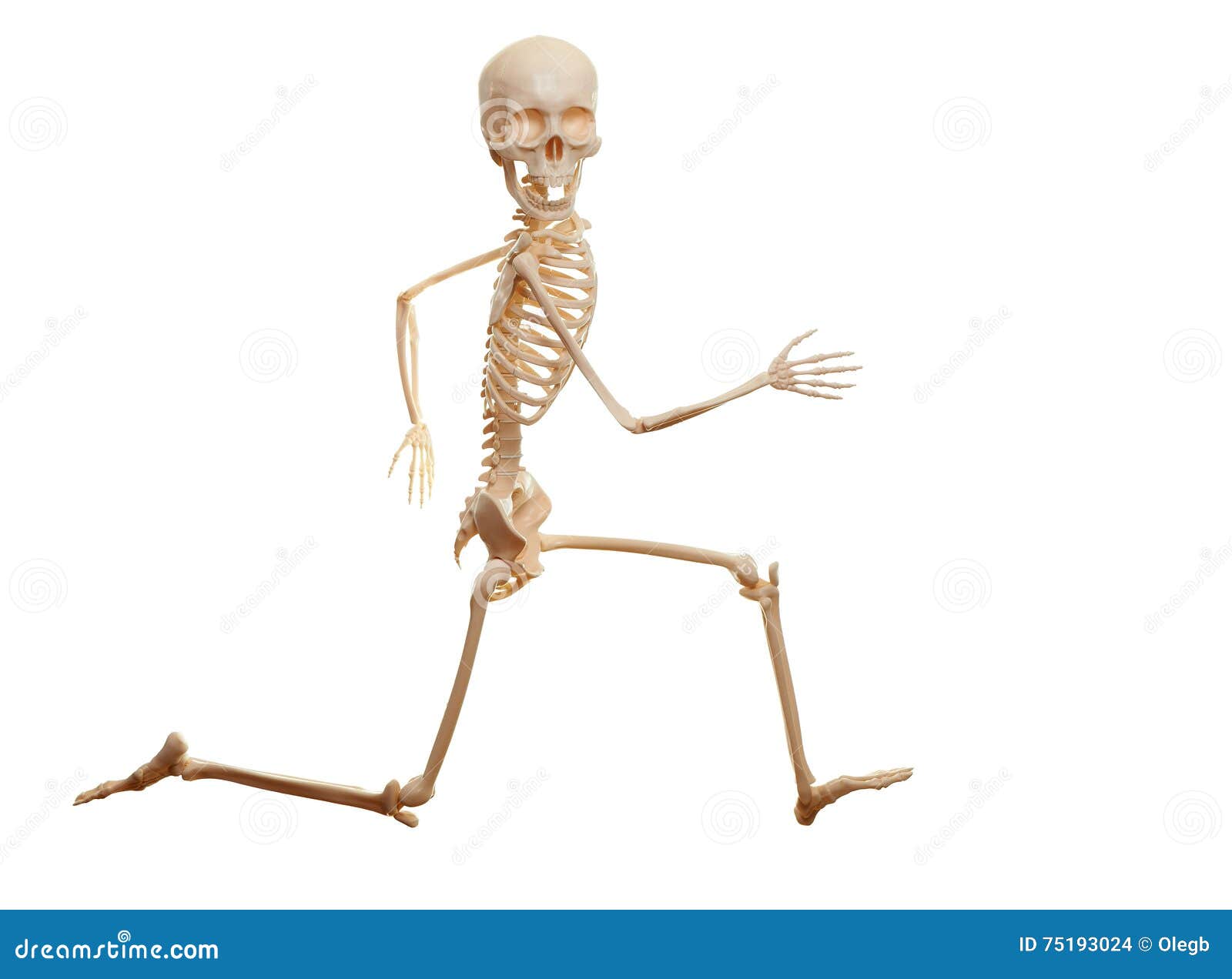 Skeleton Running On Old Wood Background,concept Halloween Background ...