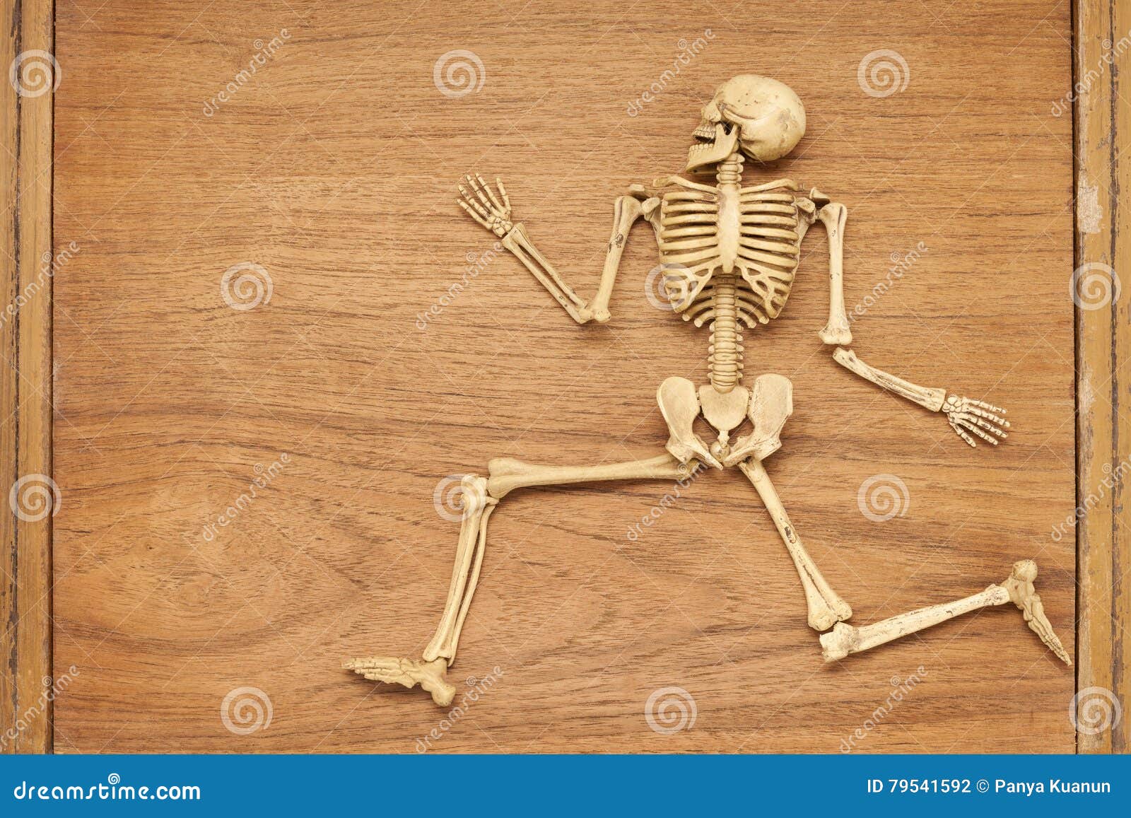 Skeleton Running On Old Wood Background,concept Halloween Background ...