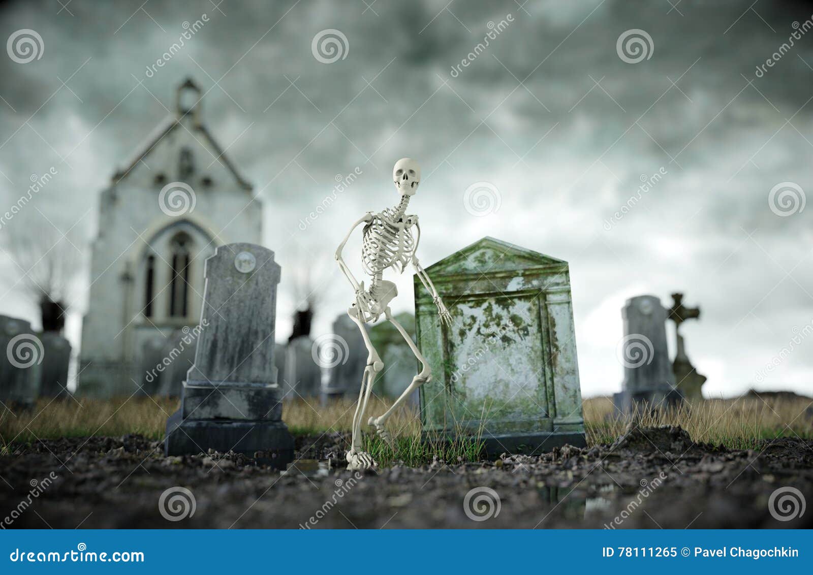 Skeleton on Scary Old Cemetery. Halloween Concept Stock Image - Image ...