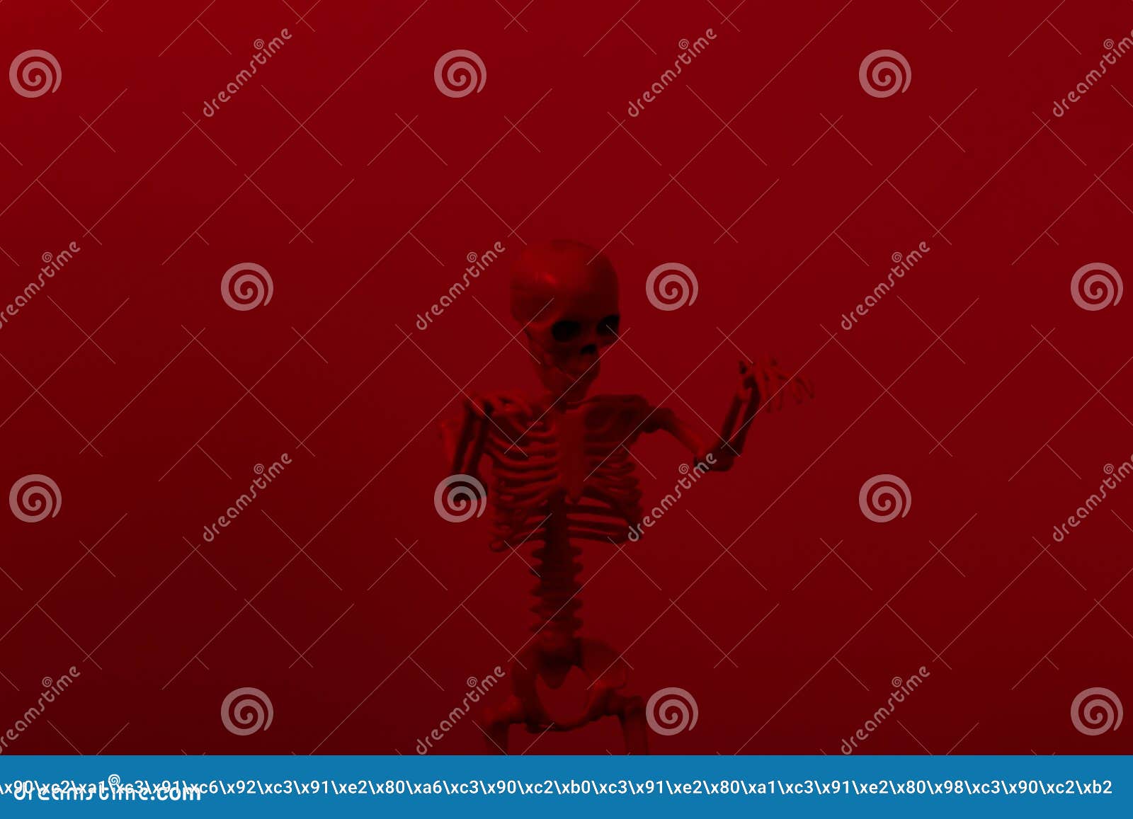 Skeleton stock photo. Image of head, health, fashion - 249321302