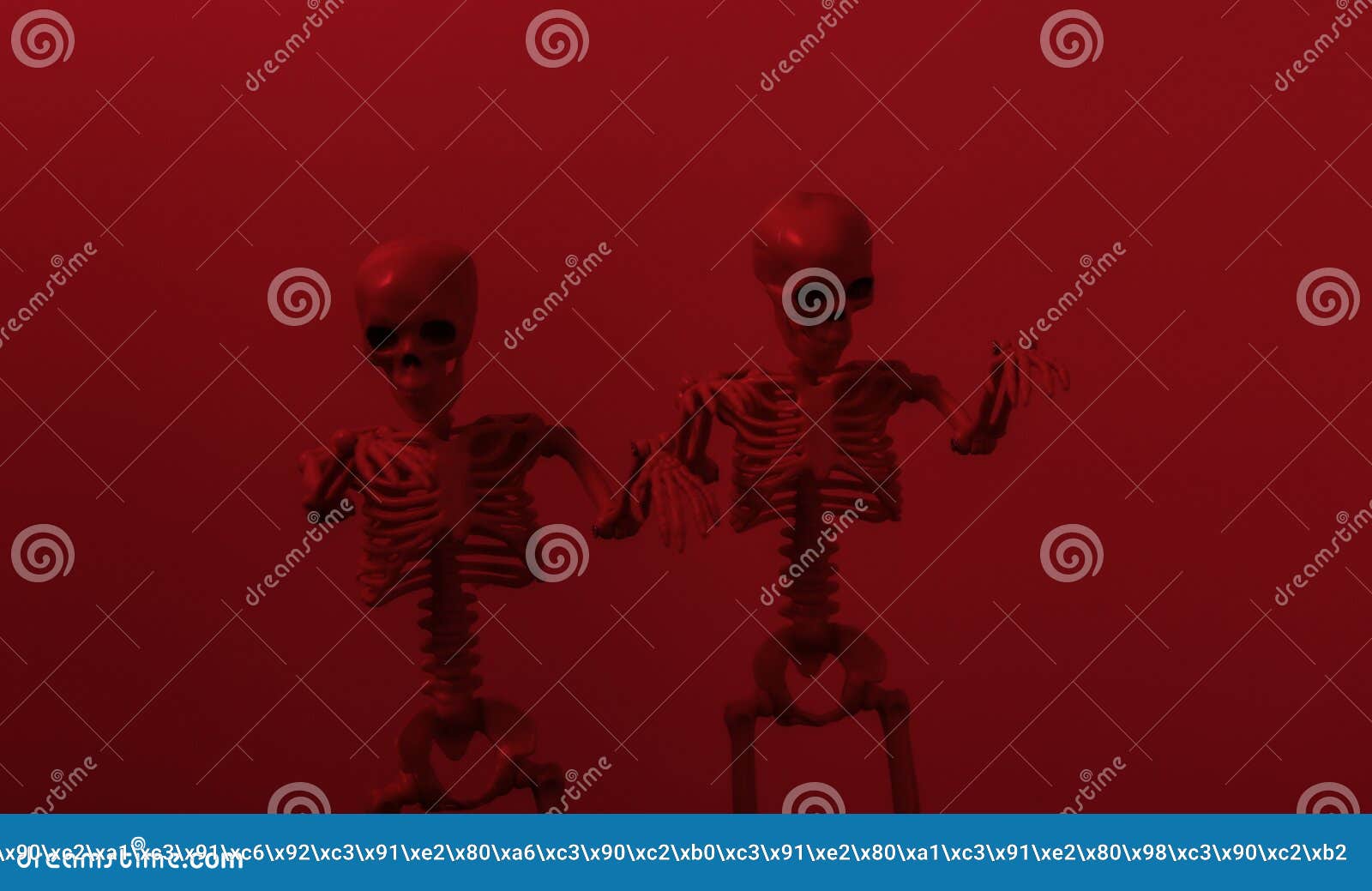 Skeleton stock image. Image of medical, dark, science - 249321303