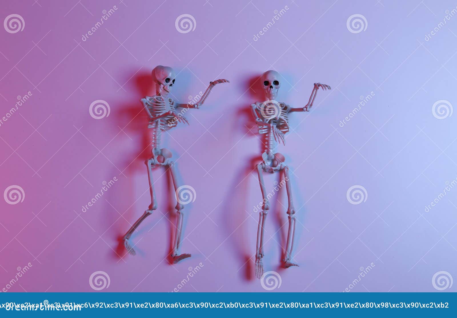 Skeleton stock photo. Image of anatomy, bone, spooky - 249321310