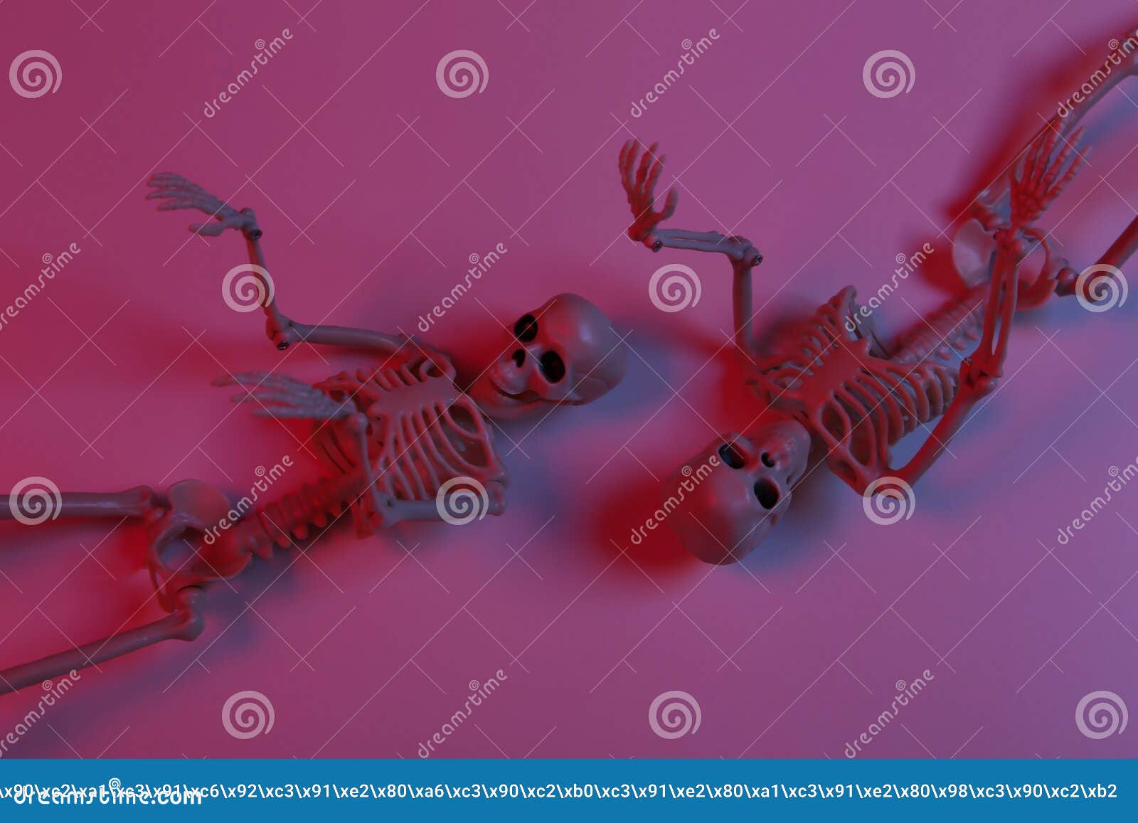 Skeleton stock photo. Image of cranium, biology, minimal - 249321312