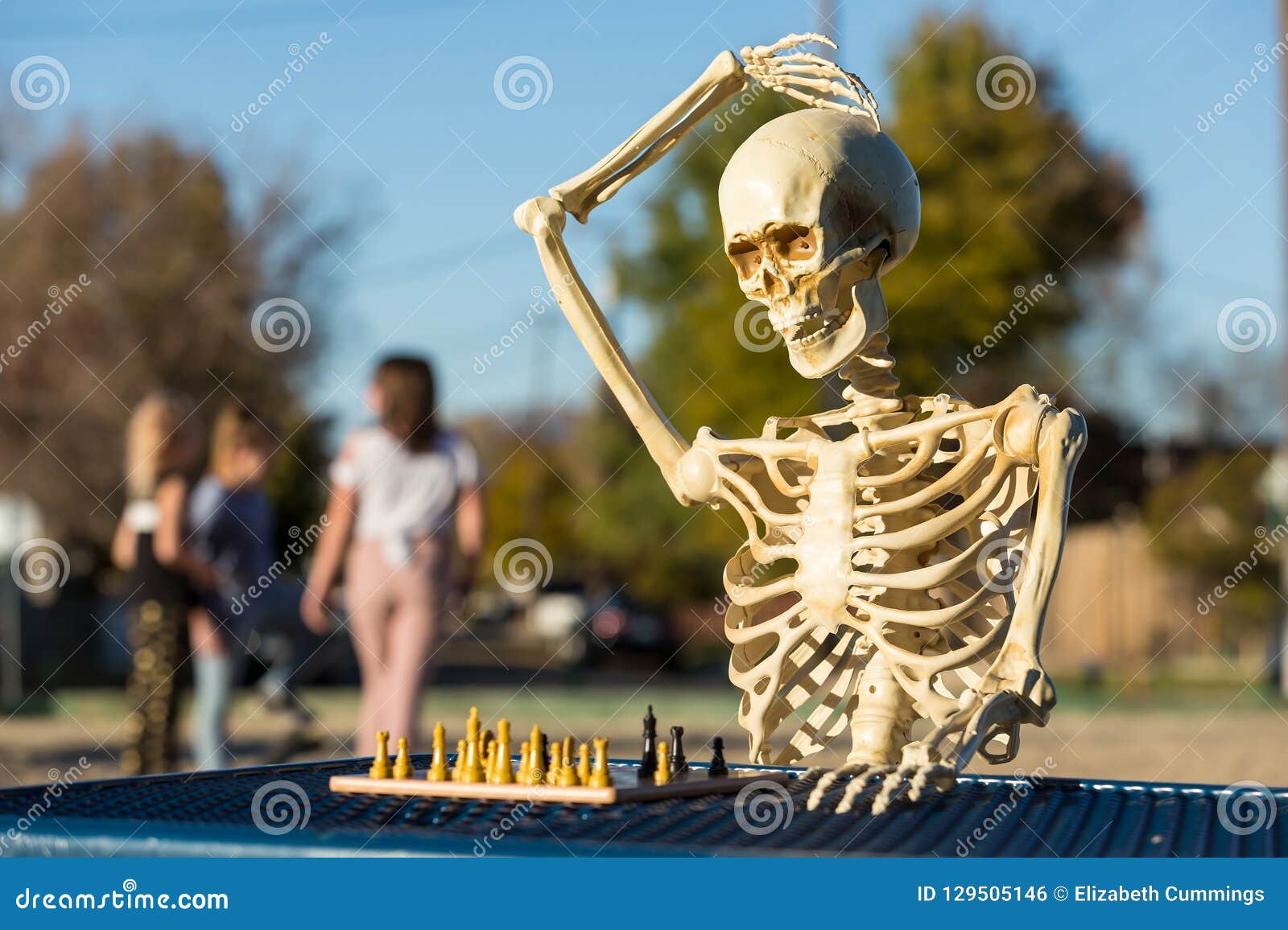 Skeleton scratches head stock photo. Image of checkmate - 129505146