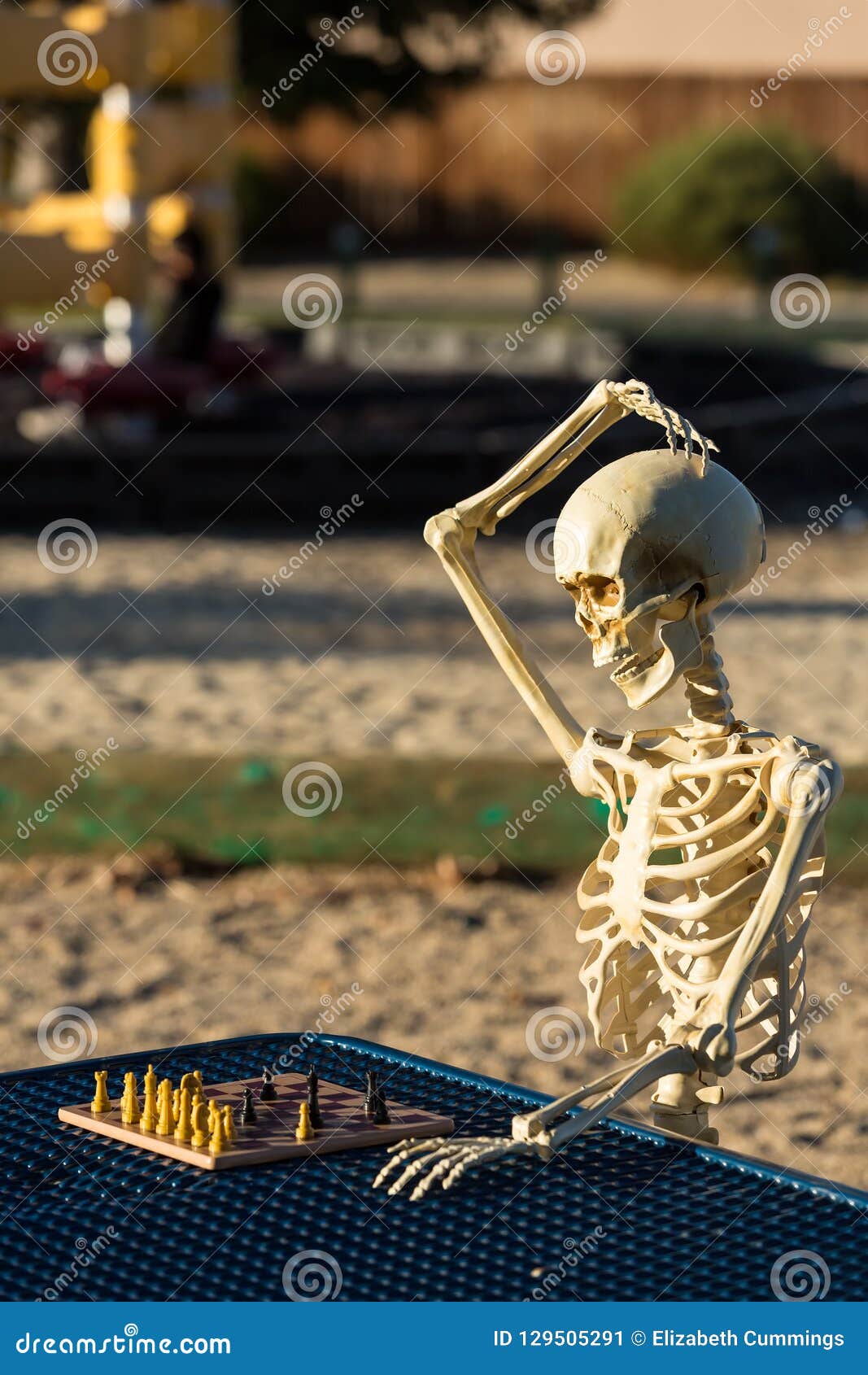 Skeleton scratches head stock image. Image of planning - 129505291