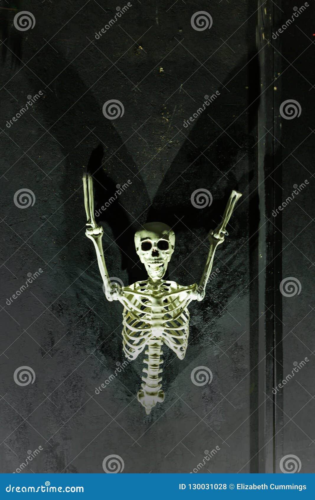 Skeleton with shadow wings stock photo. Image of scary - 130031028