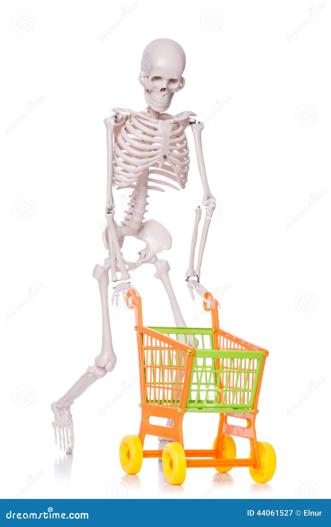 Skeleton with Shopping Cart Trolley Isolated Stock Image - Image of ...