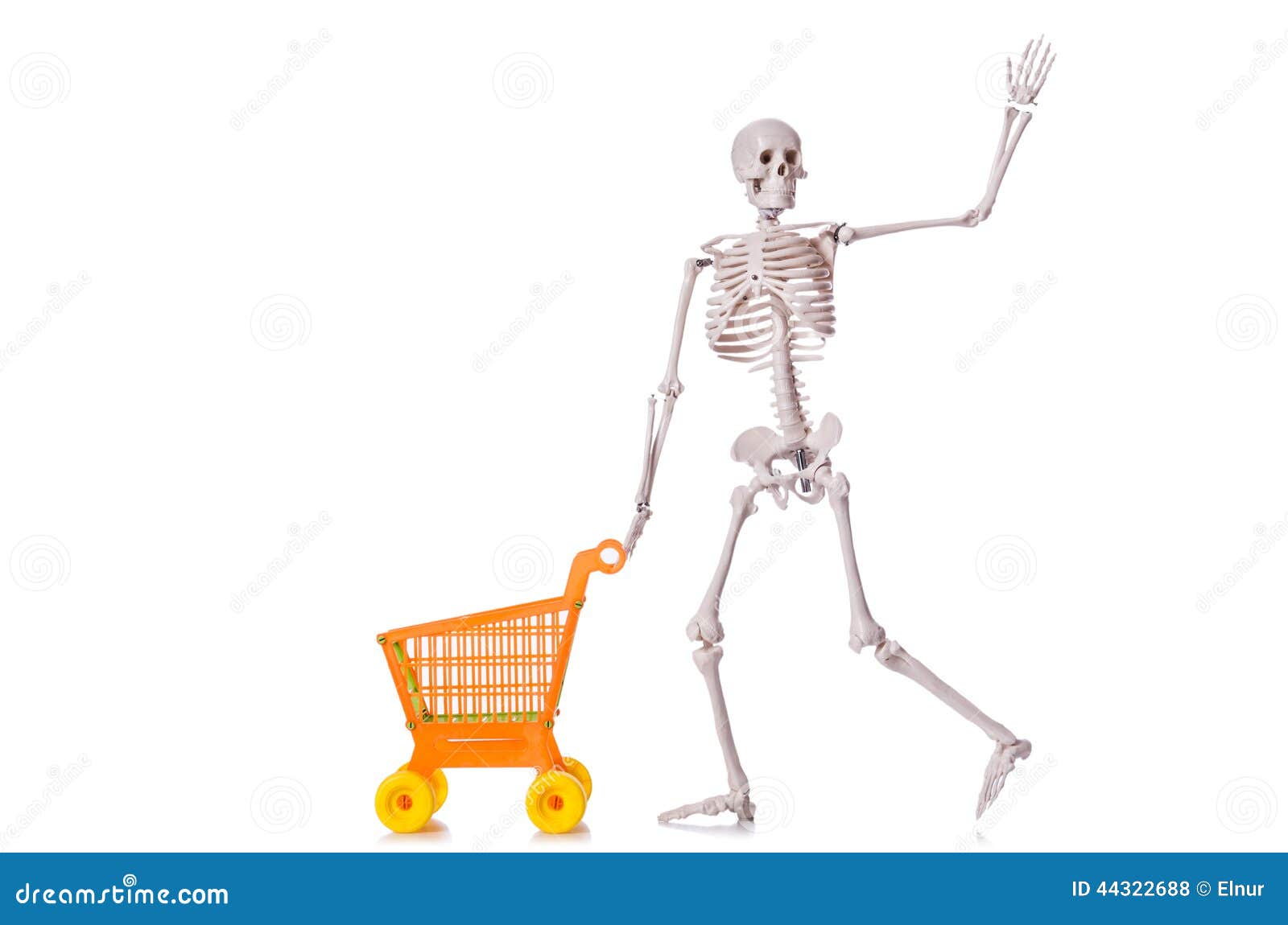 Skeleton Shopping Cart Trolley Photos - Free & Royalty-Free Stock ...