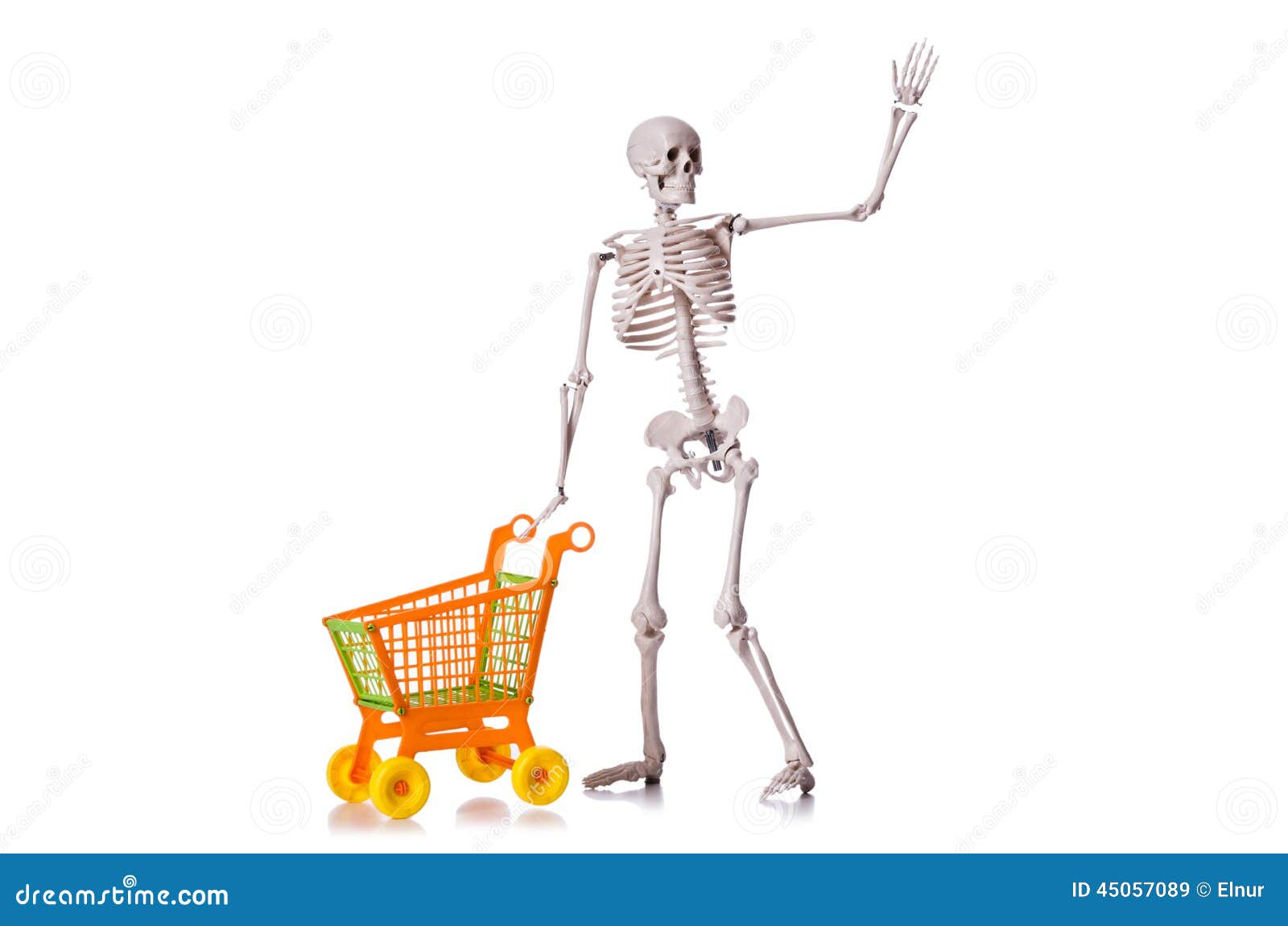 Skeleton with Shopping Cart Trolley Isolated Stock Image - Image of ...
