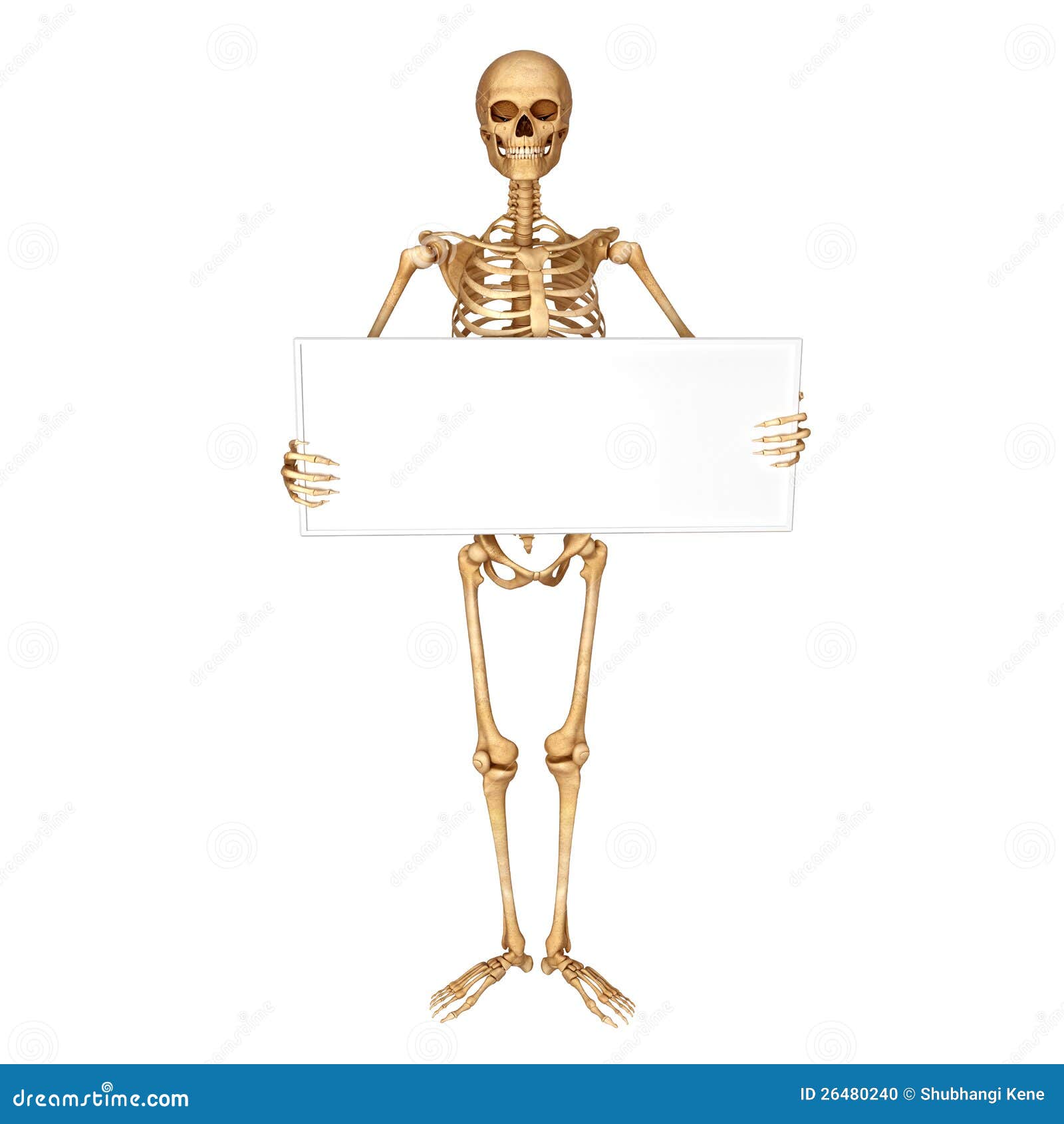 Skeleton Showing Sign Isolated with Blank Stock Illustration ...