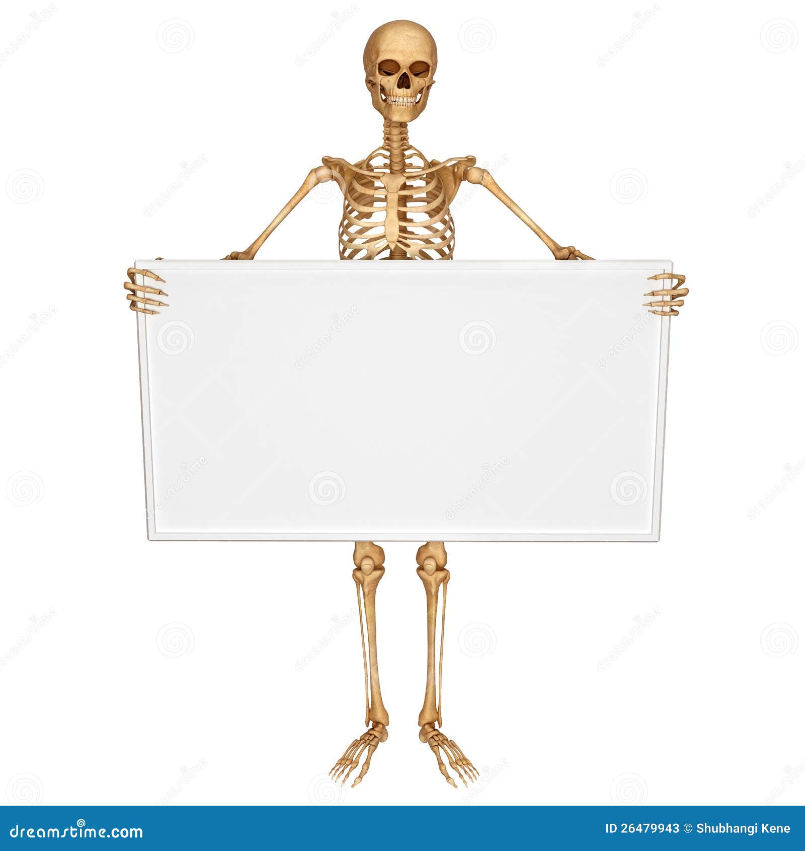 Skeleton With Sign Stock Photos - Image: 26479943