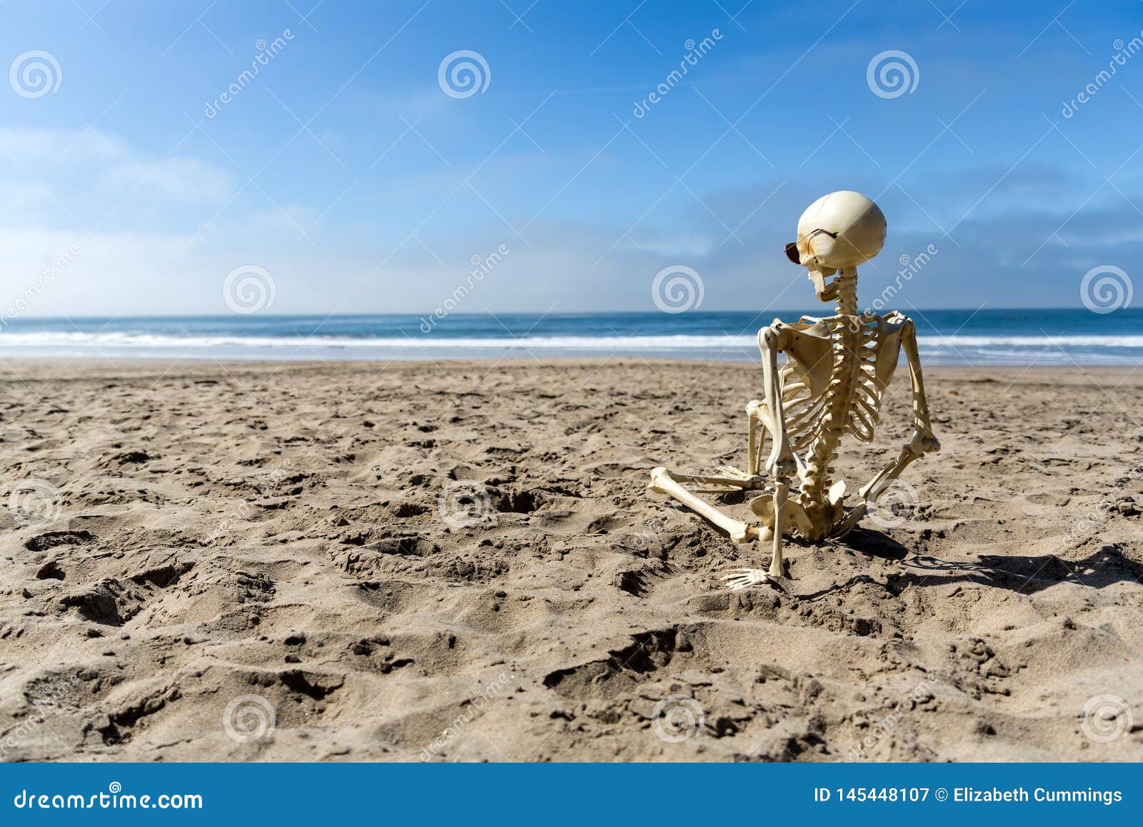 Skeleton Sits on the Beach Watching the Ocean Stock Image - Image of ...