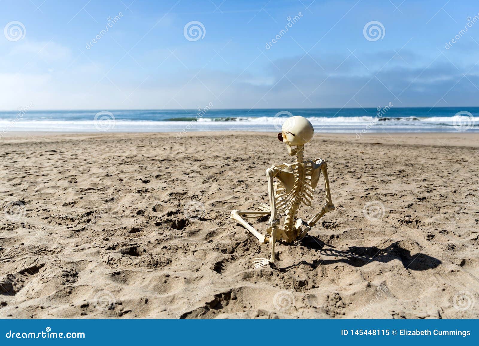 Skeleton Sits on the Beach Watching the Ocean Stock Image - Image of ...