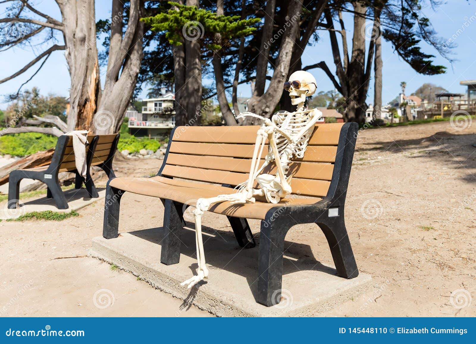 Skeleton Sits on a Bench at the Beach Watching the Ocean Stock Photo ...