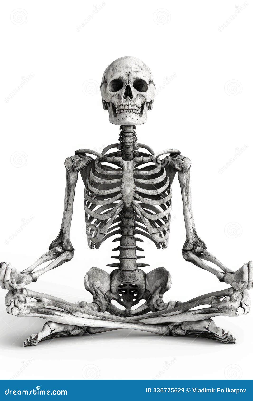 A Skeleton Sits in a Yoga Pose, Providing an Unexpected Twist on ...
