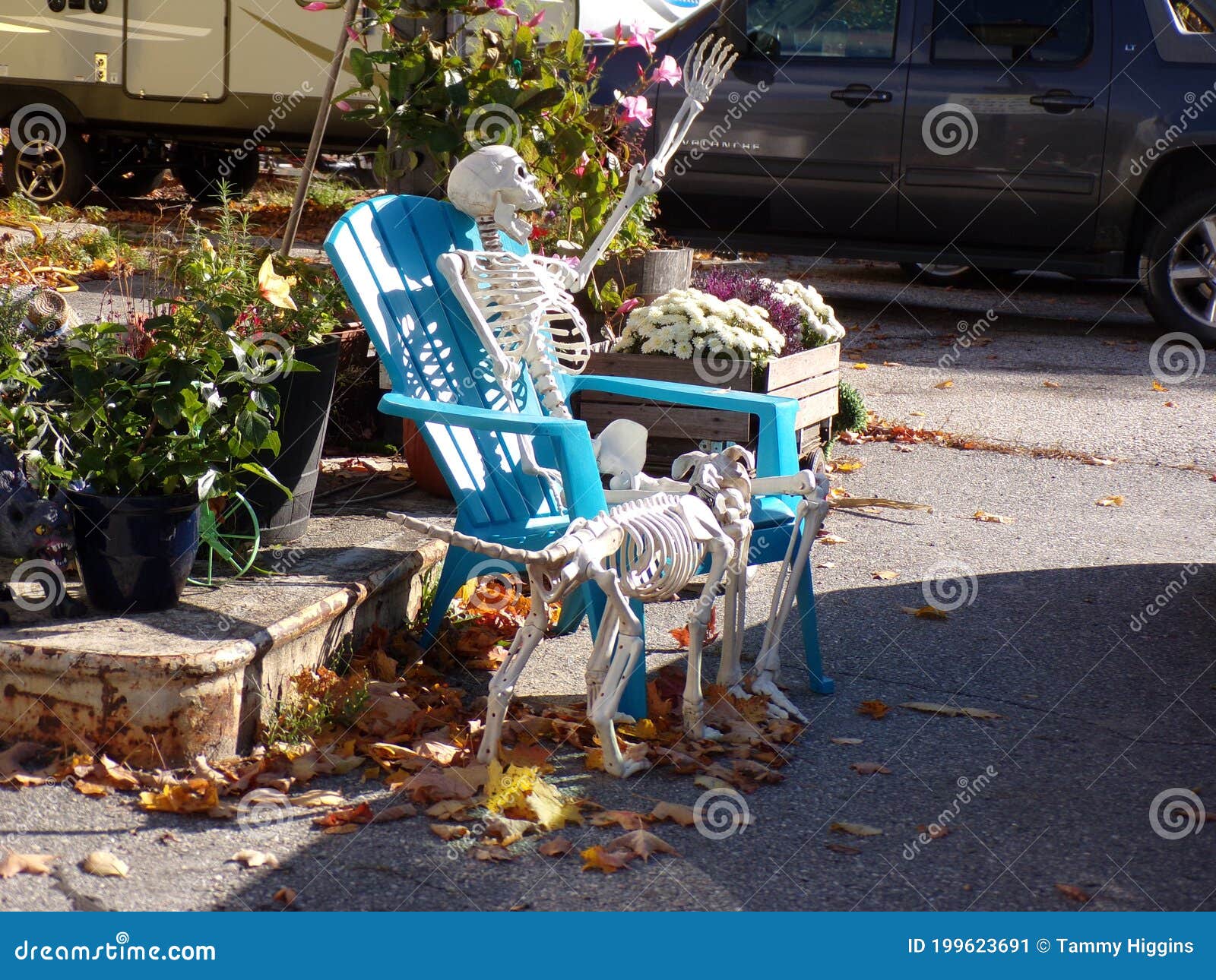 Skeleton Sitting in Chair Waving Stock Image - Image of sunlight ...