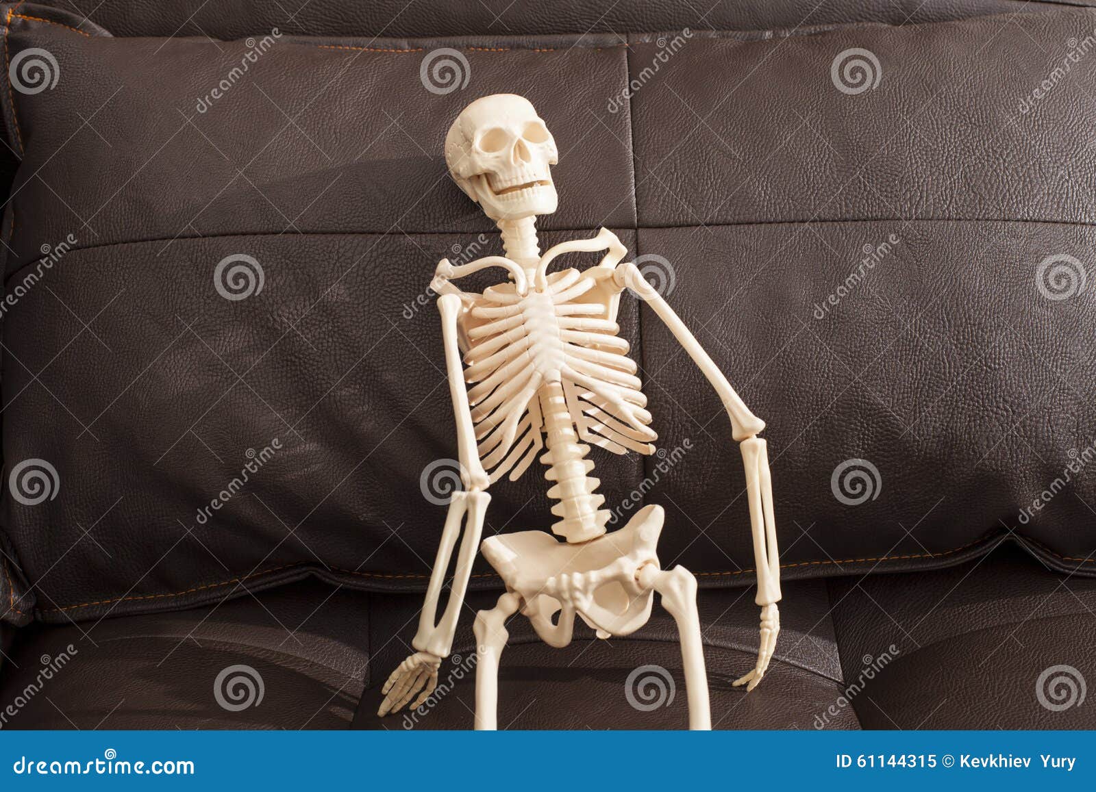 Skeleton Sitting Stock Image | CartoonDealer.com #69251101