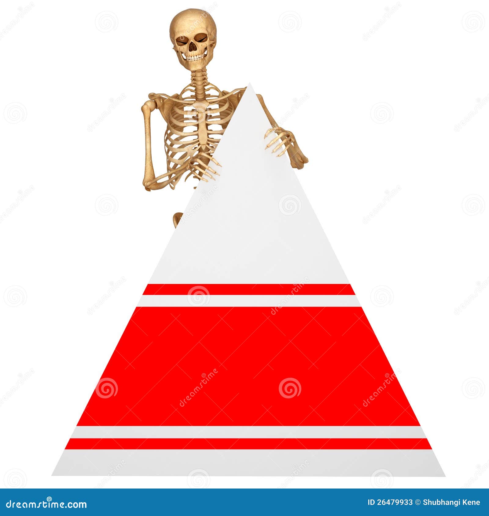 Skeleton Skull Temporal Bone Anatomy 3D Illustration Stock Photo ...