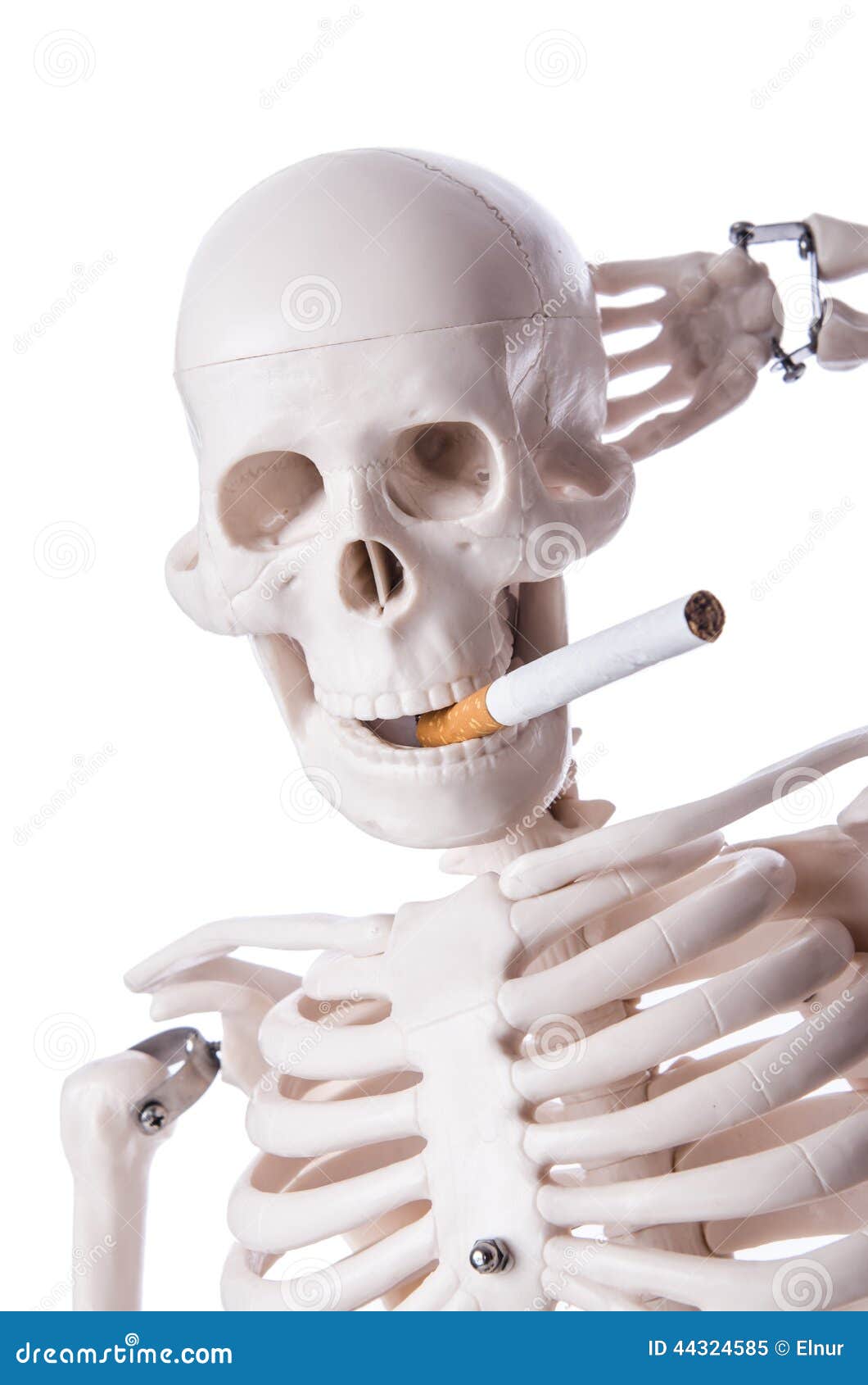 Skeleton Smoking Cigarette Isolated Stock Image - Image of danger ...