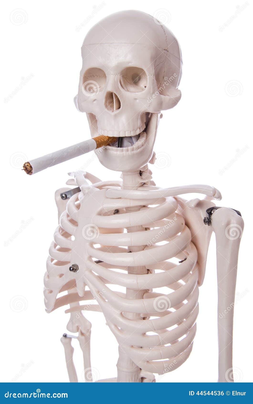 Skeleton Smoking Cigarette Stock Photography | CartoonDealer.com #44544536