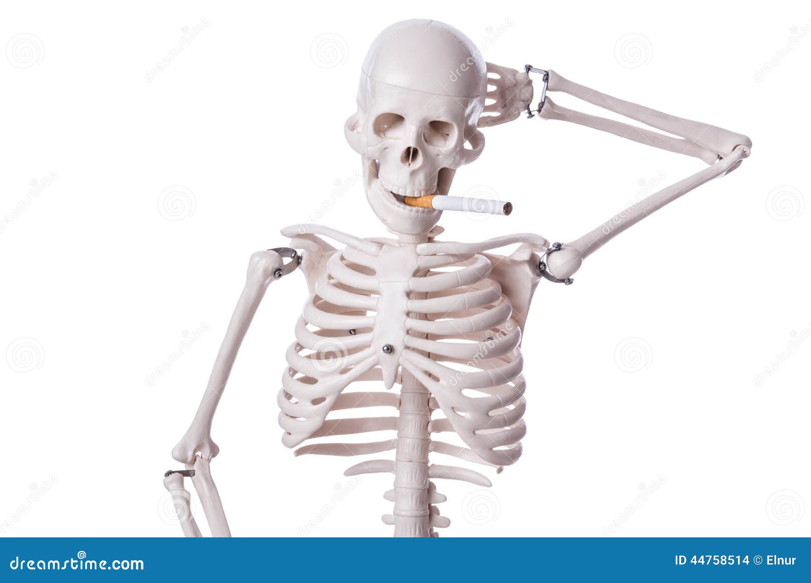 Skeleton Smoking Cigarette Isolated Stock Photo - Image of isolated ...