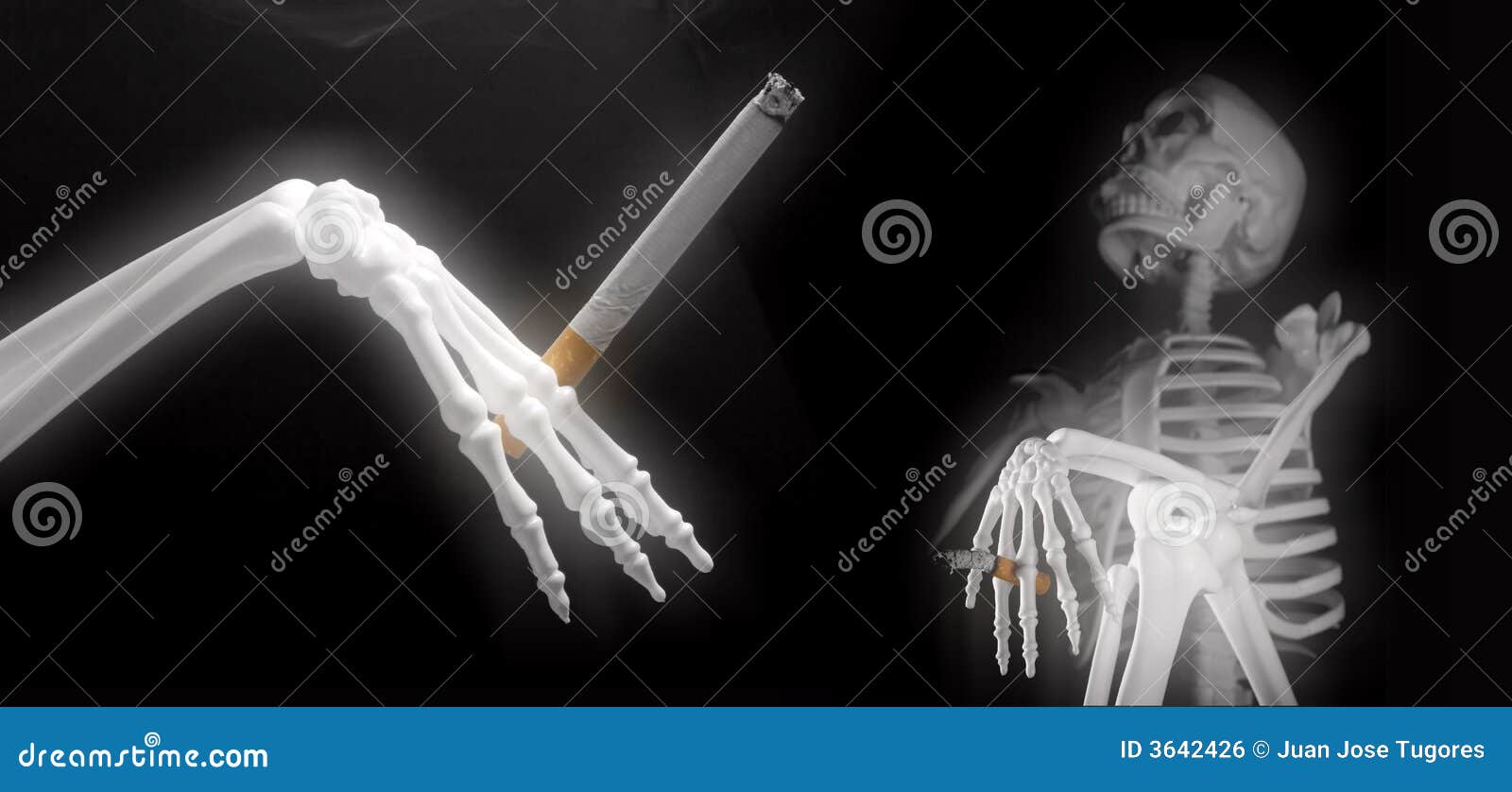Skeleton Smoking A Cigar Against Black Background Royalty-Free Stock ...